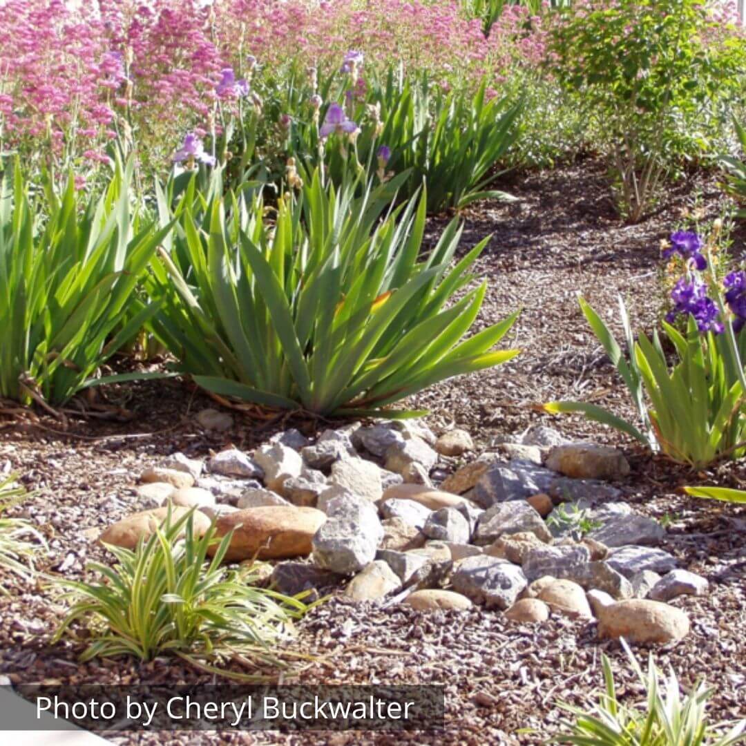 Eco-Friendly Landscaping – BeRiverFriendly.net